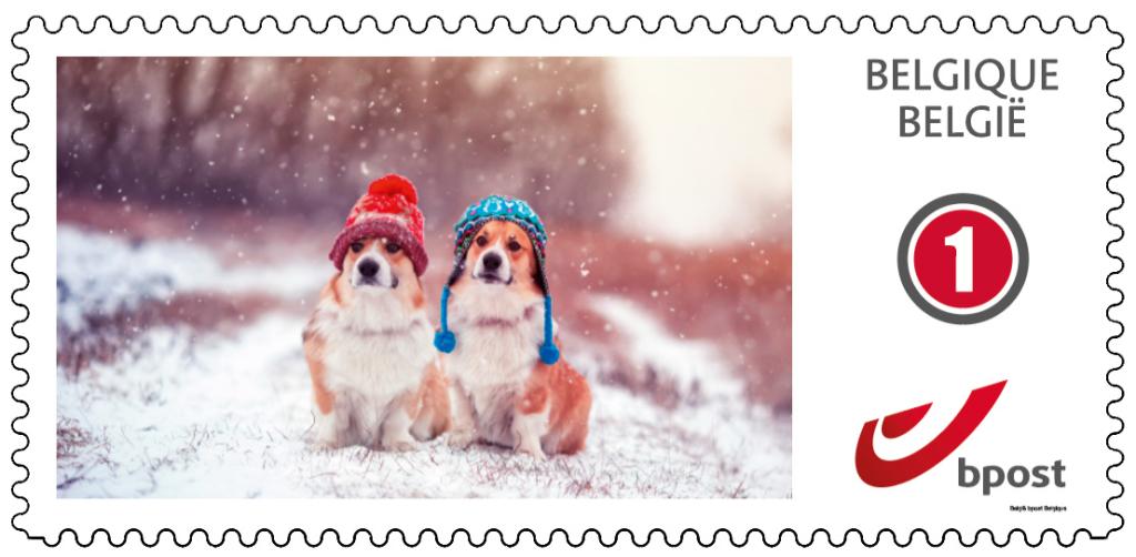 Magical Winter - Non-Prior-Briefmarken für Belgien | eShop