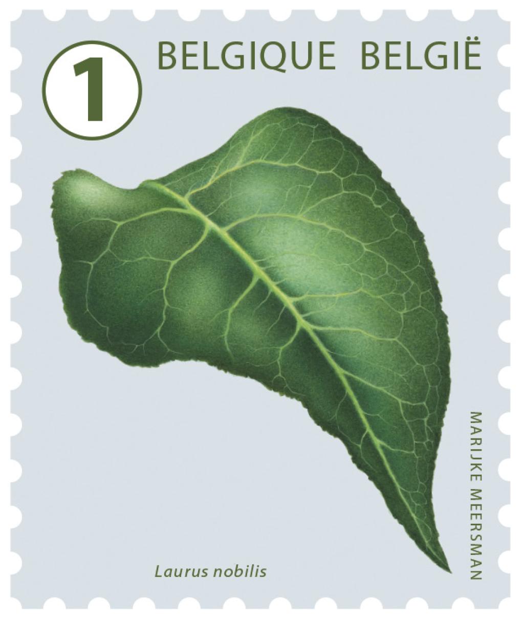 Postzegelblaadje bladvormen - 50 non-prior postzegels voor België | eShop