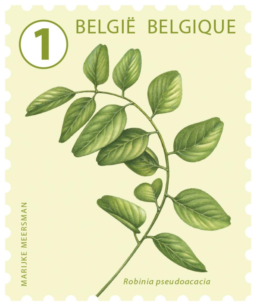 Postzegelblaadje bladvormen - 50 non-prior postzegels voor België | eShop