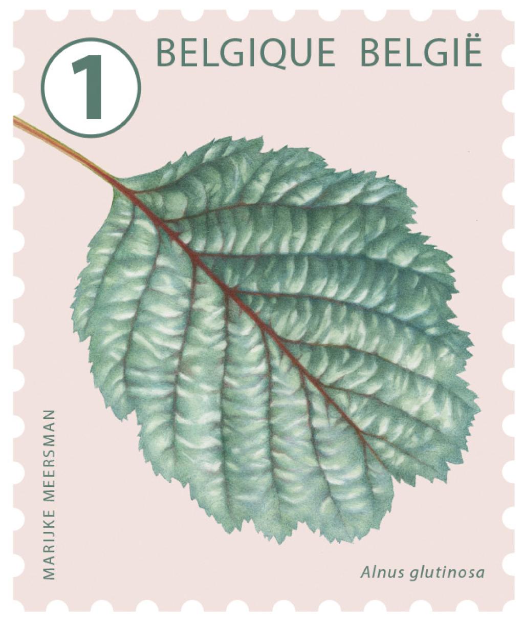 Postzegelblaadje bladvormen - 50 non-prior postzegels voor België | eShop